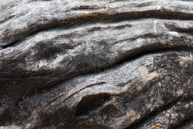 Pattern of Wood Decay Texture Background Stock Image - Image of boarded ...