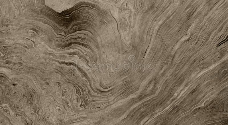 Pattern of wood structure stock photo. Image of pine - 237339254