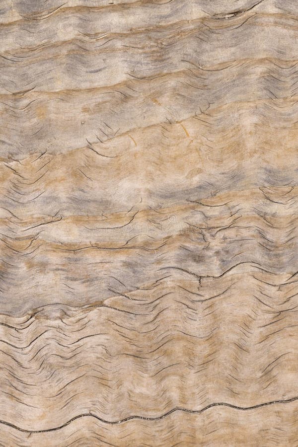 Pattern of Wooden Background Stock Image - Image of wood, waves: 249301583