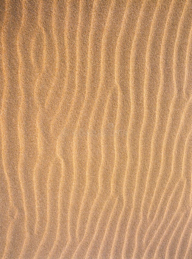 Sand wrinkles stock photo. Image of wrinkles, rolls, ogunquit - 96518590