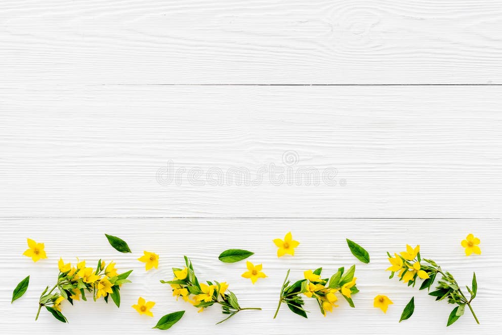 Pattern of Yellow Flower Buds, Overhead View Stock Photo - Image of ...