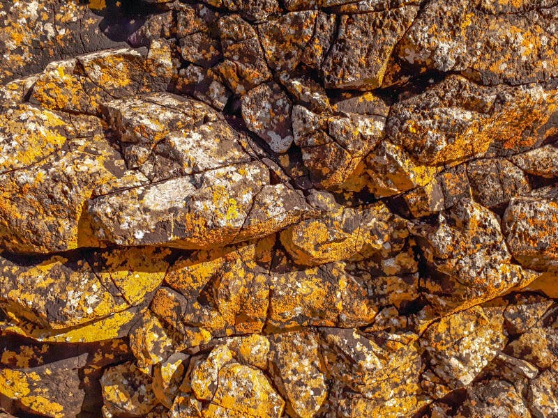 Pattern of Yellow and White Lichen on Basalt Rock Stock Image - Image ...