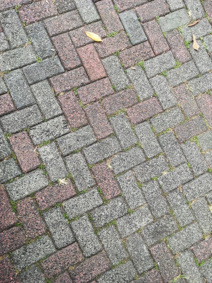 Patterned Brick Pavement with Subtle Moss Growth Stock Image - Image of ...