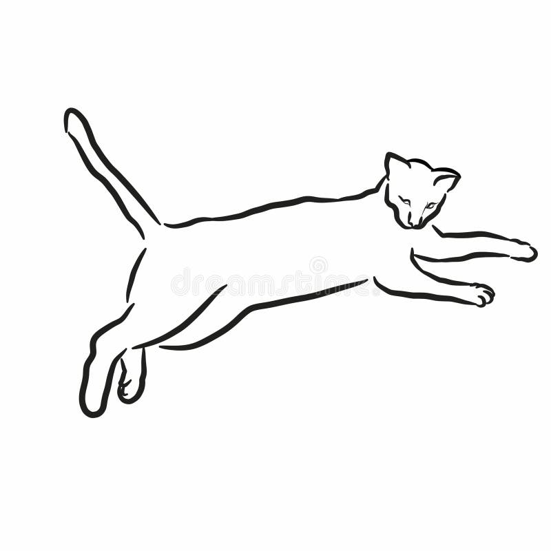 Line Drawing of a Stray Cat Stock Illustration - Illustration of ...