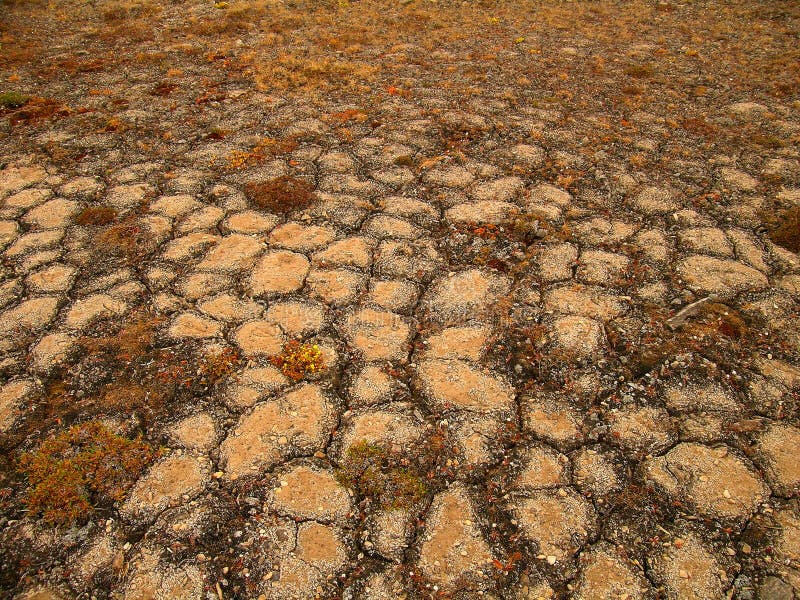 Patterned Ground - Spitsbergen, Arctic Stock Image - Image of circles ...