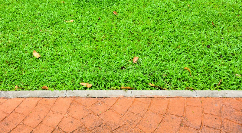 Patterned Paving Tiles at Walkway in the Park. Stock Photo - Image of ...