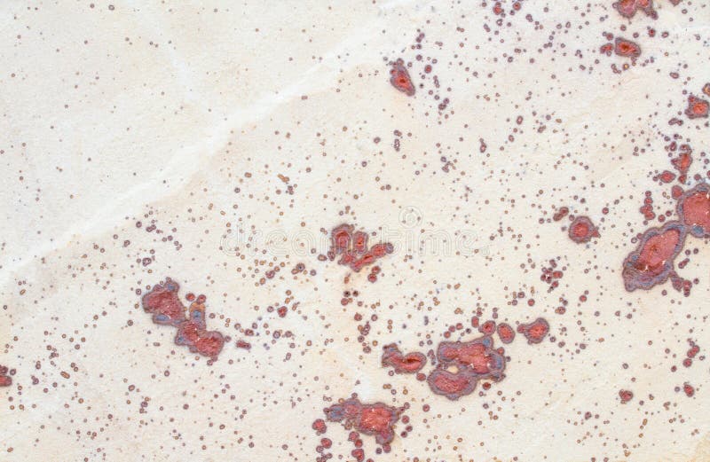 711 Sandstone Paint Color Exterior Stock Photos - Free & Royalty-Free ...