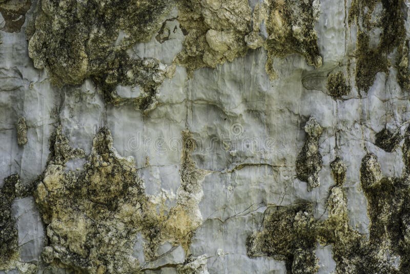 Patterned Surface of the Stone. Stock Photo - Image of called ...