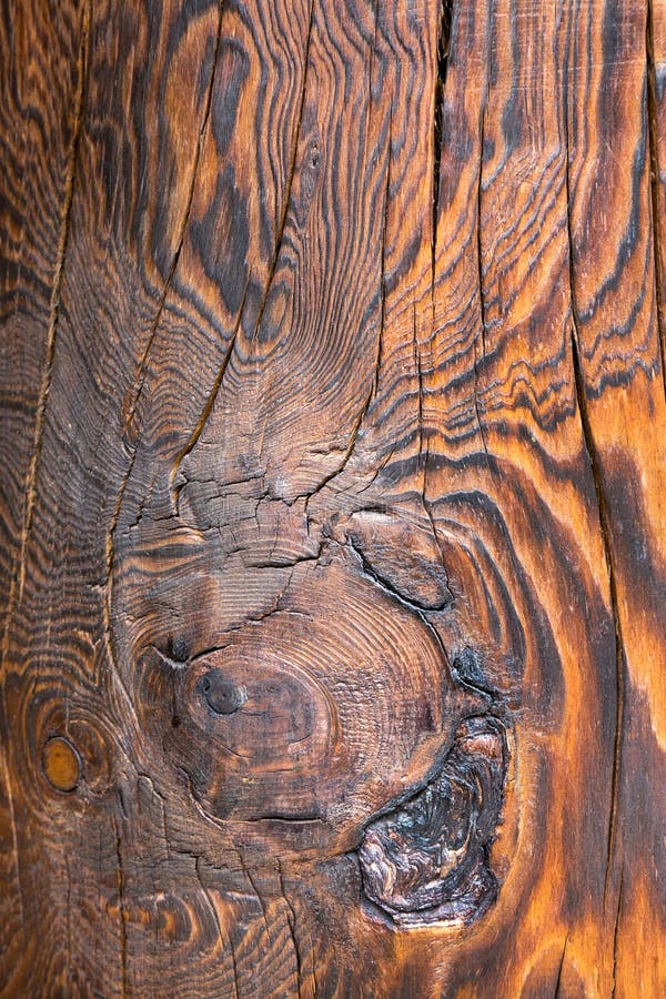 Patterned of the Wood for the Background. Stock Photo - Image of heap ...