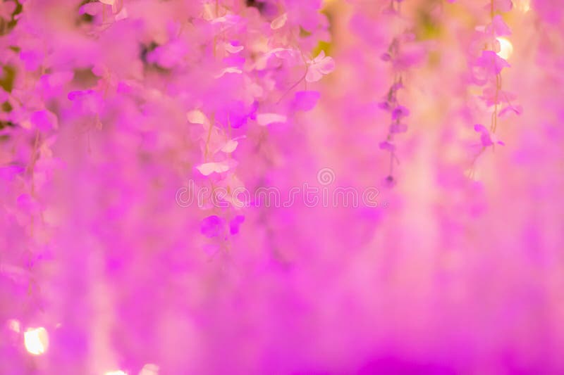 Patternless Colorful Abstract Blur Background is Unique Abstract ...