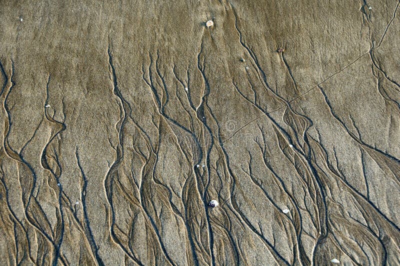 Patterns on Beach Sand Created by Water Stock Image - Image of texture ...
