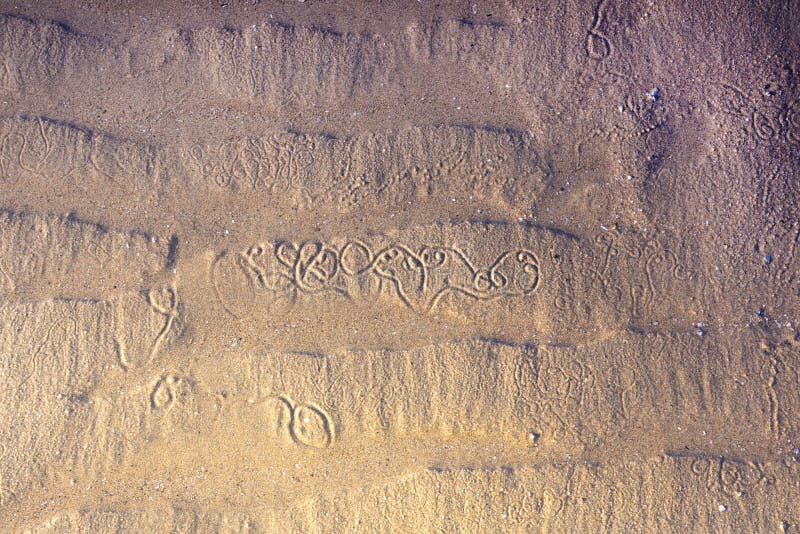 Patterns in the Beach Sand Made by Sand Worms Stock Image - Image of ...