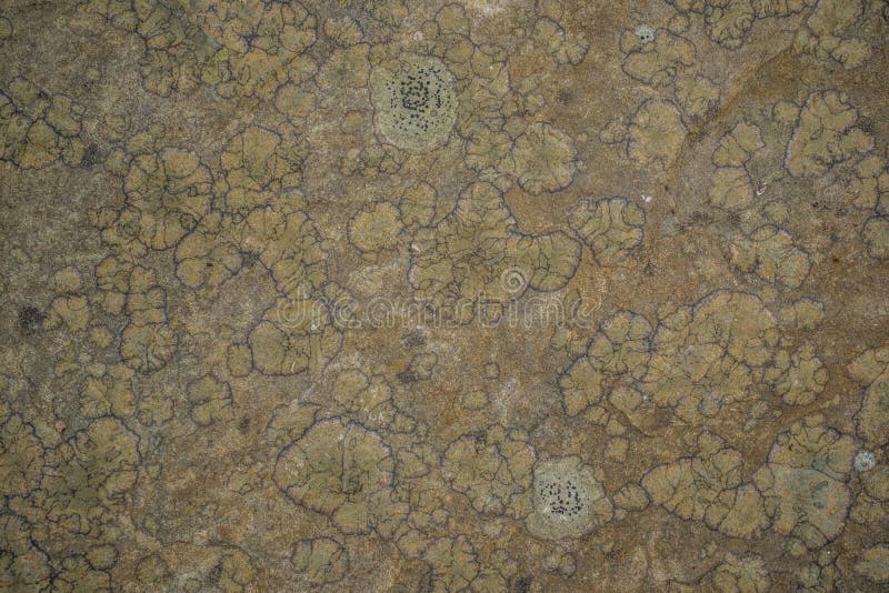 Patterns on a Boulder from Nature Stock Photo - Image of stained, macro ...