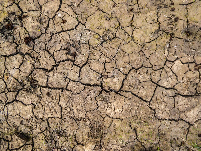 Patterns in the Cracks of Mud Baked Hard by the Sun Stock Photo - Image ...