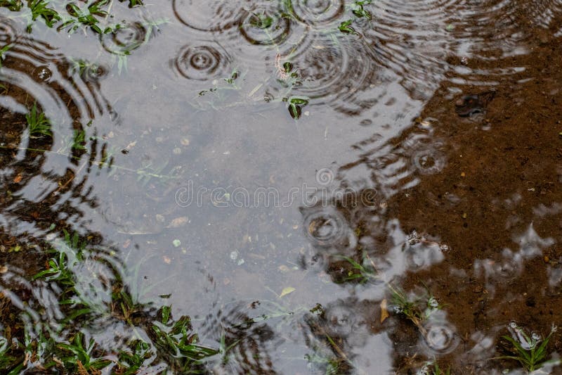 Patterns Created by Rain Drops Falling in a Puddle Stock Photo - Image ...