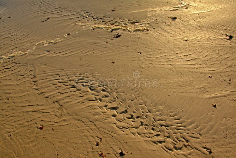 Wavy Sand Patterns in Wet Sand on the Beach Stock Photo - Image of ...