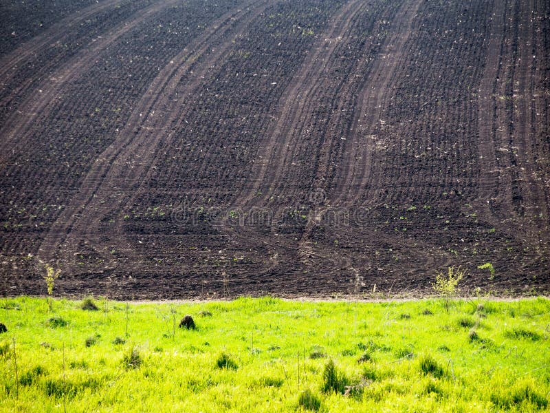 Patterns on the Field on the Background of a Grass. Stock Photo - Image ...