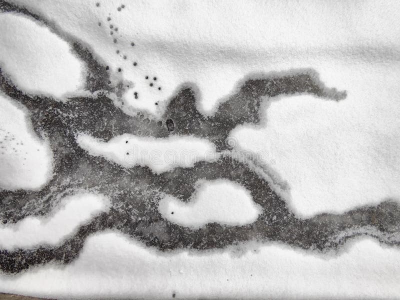 Patterns Forming on Snow-covered Ground Observed during Winter in a ...