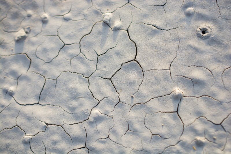 Patterns on Freshly Poured Concrete Surface Stock Image - Image of ...