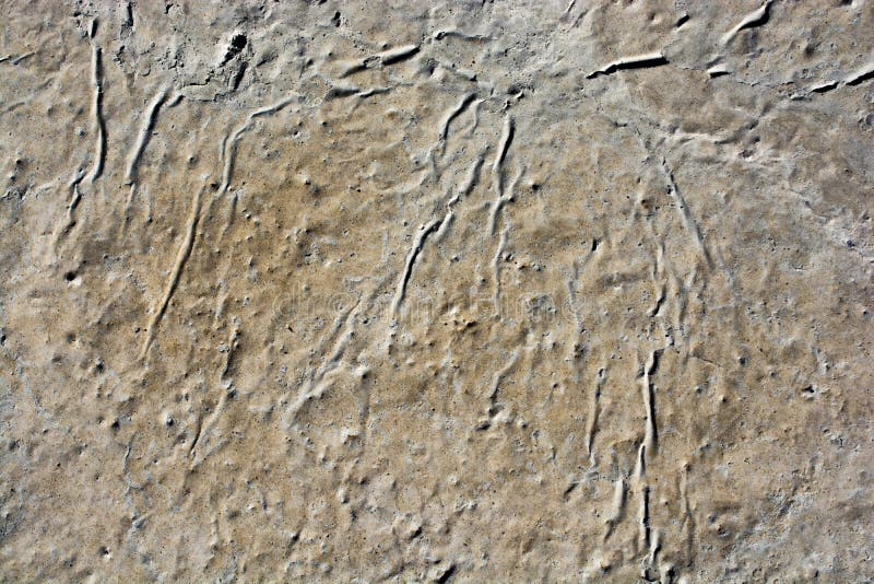 Patterns on Freshly Poured Concrete Surface Stock Image - Image of ...