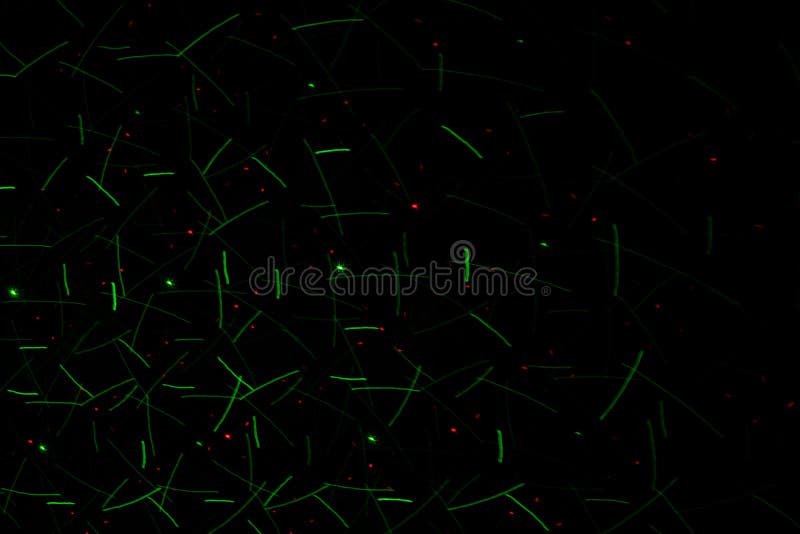 Patterns in Green on the Wall. Laser Background Stock Illustration ...