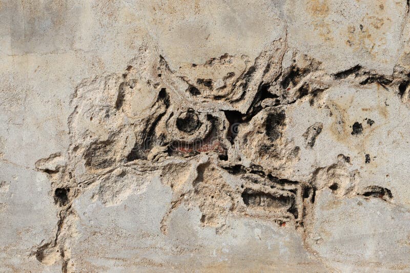 Patterns of History through Time Stock Image - Image of trunk, sketch ...