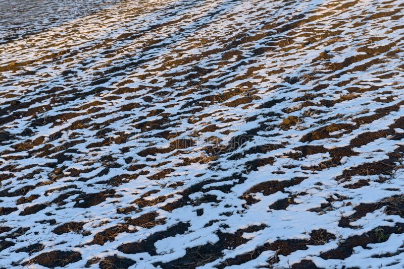 Patterns of Melting Snow on Land Stock Photo - Image of macro ...