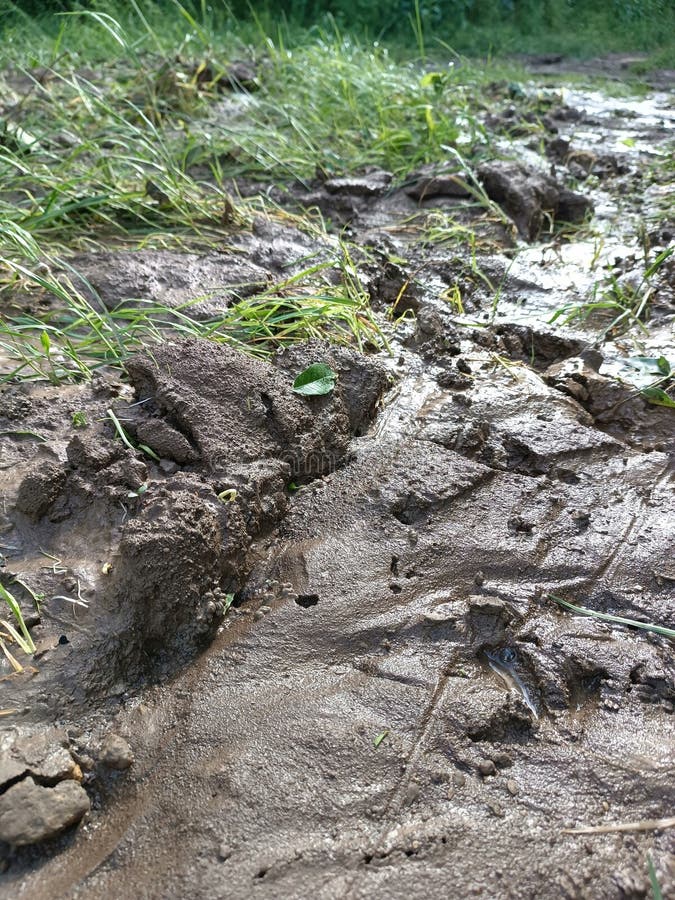 Patterns in the Mud, Nature As Art Editorial Photography - Image of ...