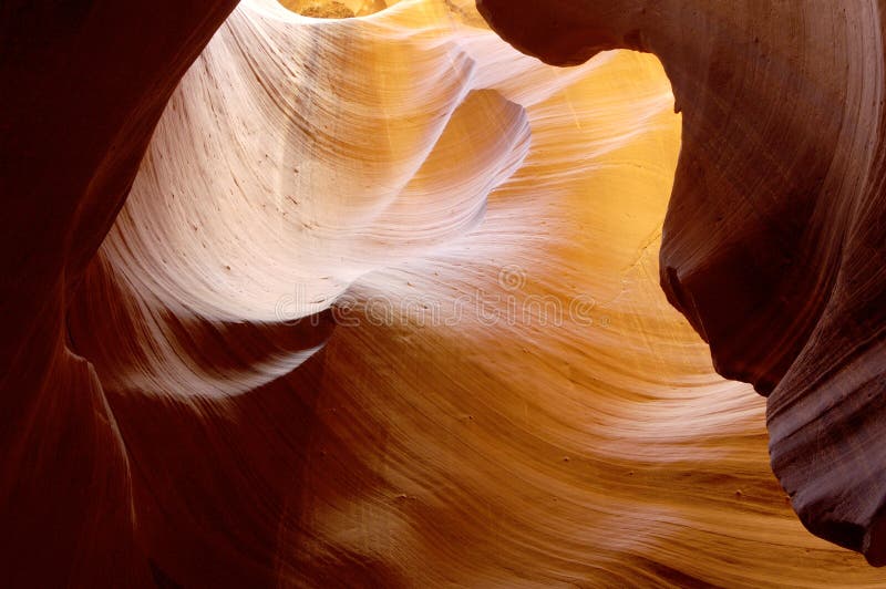 Patterns in Nature 5 stock image. Image of colors, sensuous - 521057