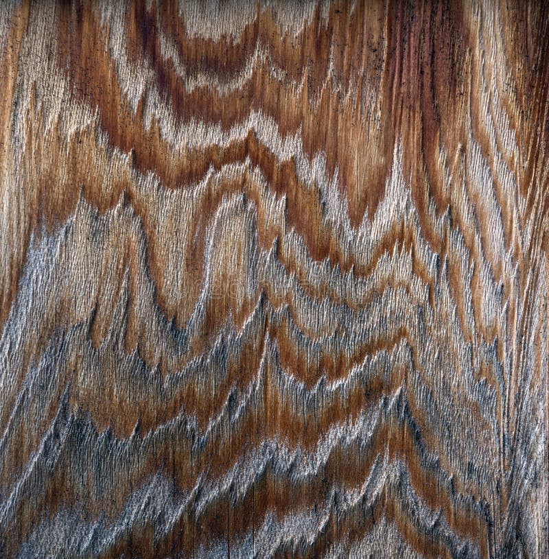 Patterns on old cedar stock photo. Image of wood, material - 130130358