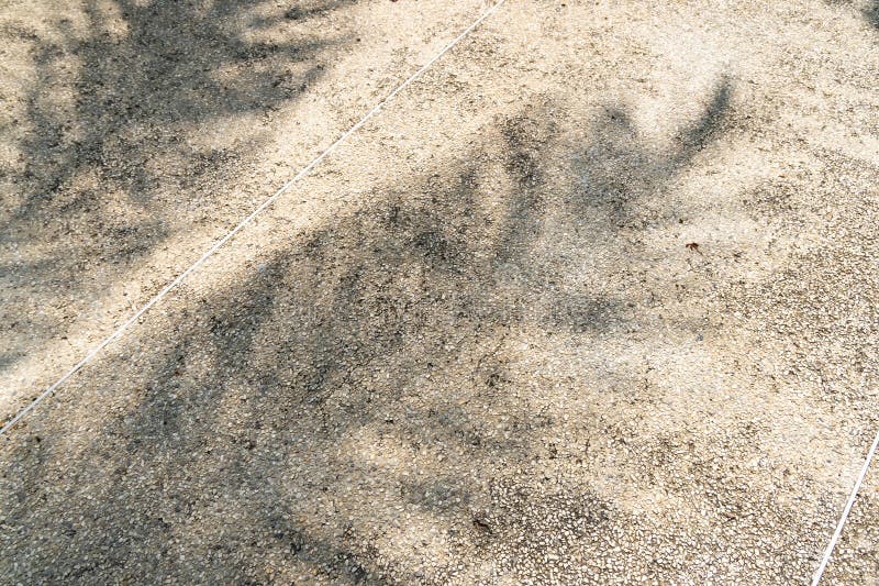 Patterns of Palm Shadows on a Textured Surface in Thailand Stock Photo ...