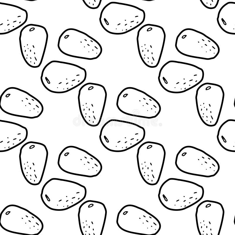 Patterns Pine nuts stock vector. Illustration of healthy - 185319214