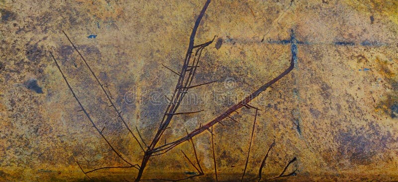 Patterns of Roots` Network on Old Tarp and Dirt Horizontal Stock Photo ...