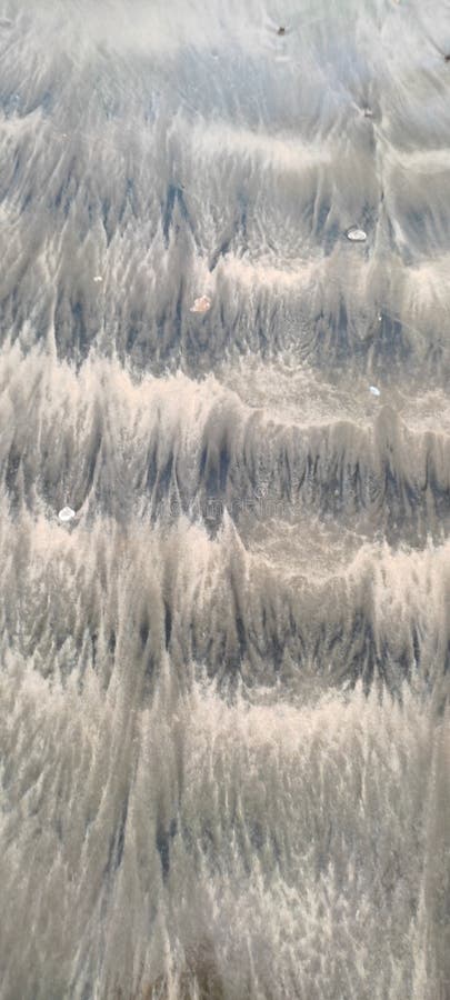 Patterns on Sand stock photo. Image of winter, plant - 291118550