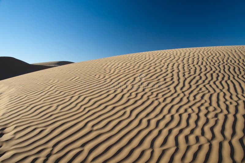 Patterns on the Sand, Dune, Sahara Stock Photo - Image of algeria, dune ...