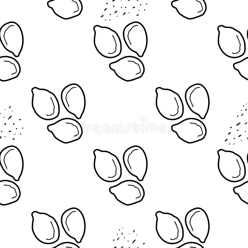 Sesame Fruit and Seeds Isolated on White Stock Vector - Illustration of ...