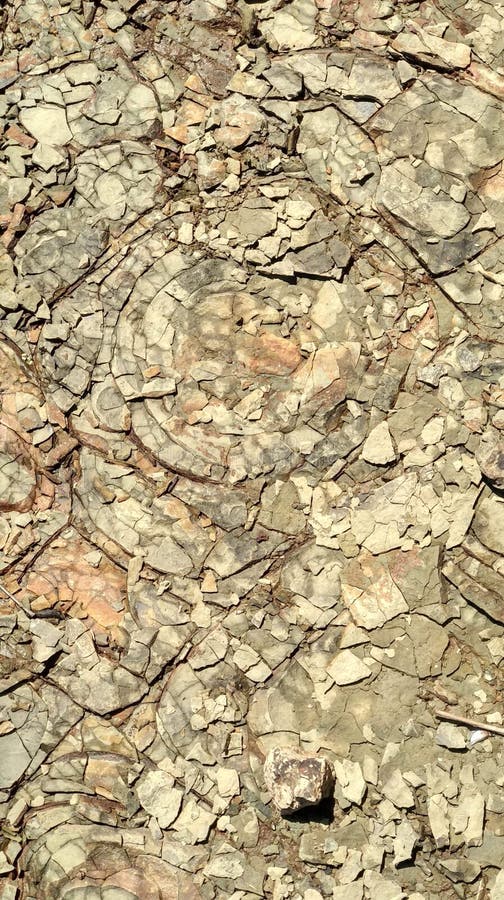 Patterns in Shale stock image. Image of shale, patterns - 151032301