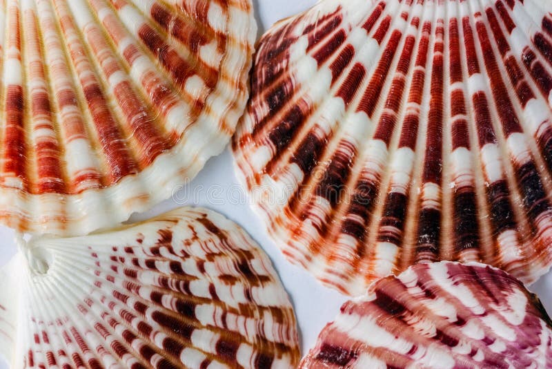 637 Greek Patterns Stock Photos - Free & Royalty-Free Stock Photos from ...