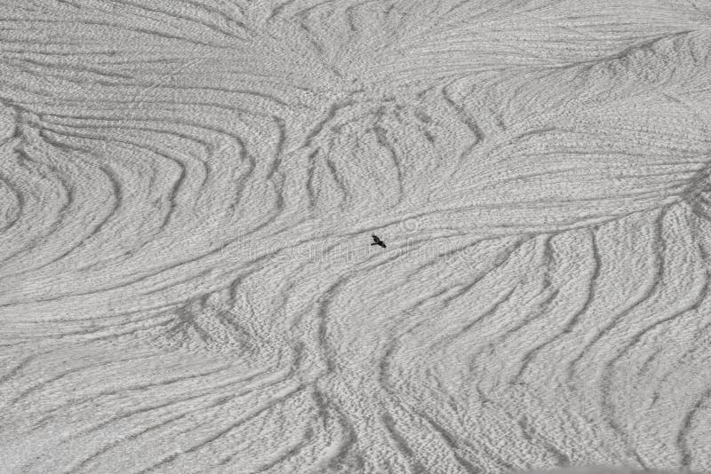 Patterns in the snow stock photo. Image of nature, artist - 158264812