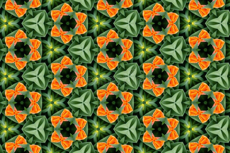 Beautiful Flowers Tulips Nature Pattern, Frame with Tulips Concept ...