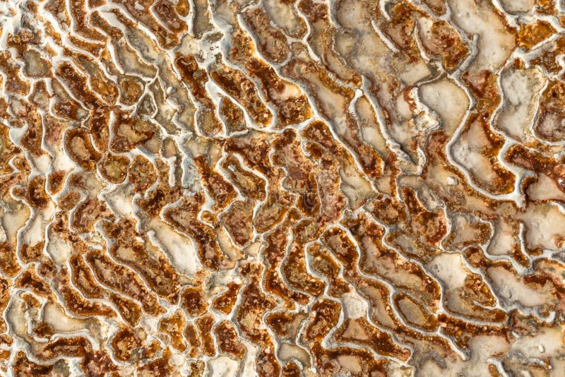 Patterns on the Stone Made by the Flow of Water Stock Image - Image of ...