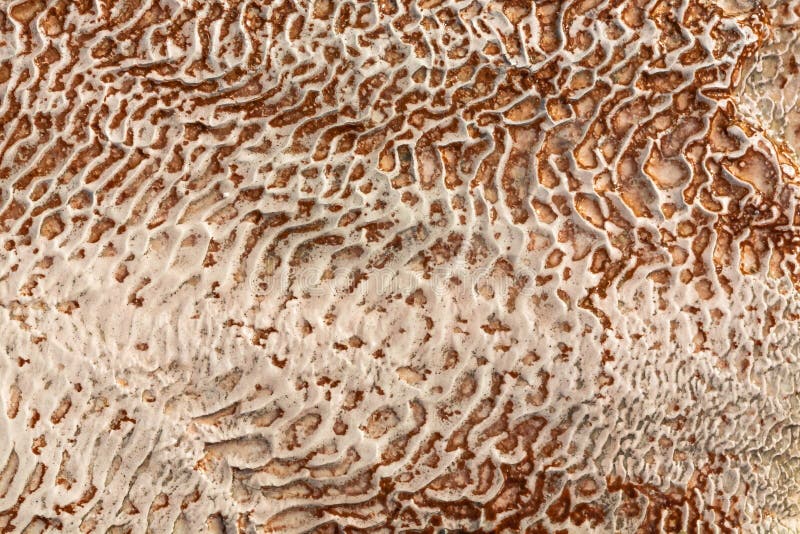 Patterns on the Stone Made by the Flow of Water Stock Image - Image of ...