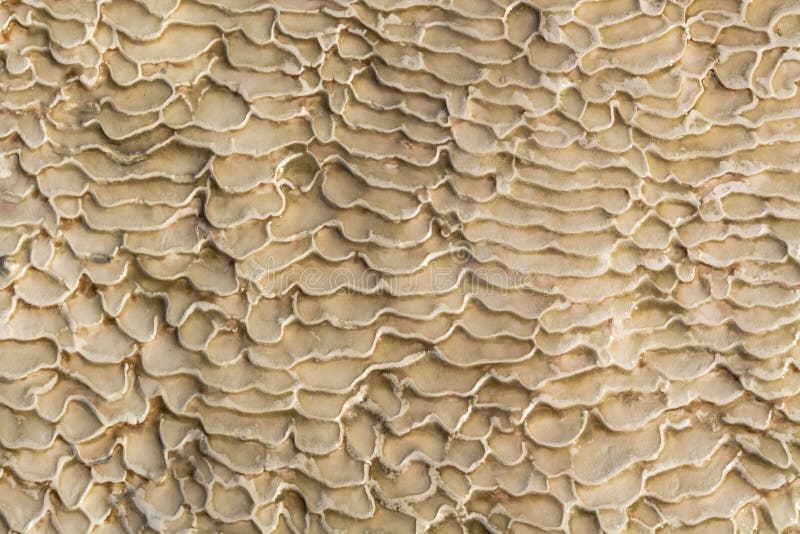 Patterns on the Stone Made by the Flow of Water Stock Photo - Image of ...