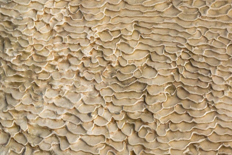 Patterns on the Stone Made by the Flow of Water Stock Image - Image of ...