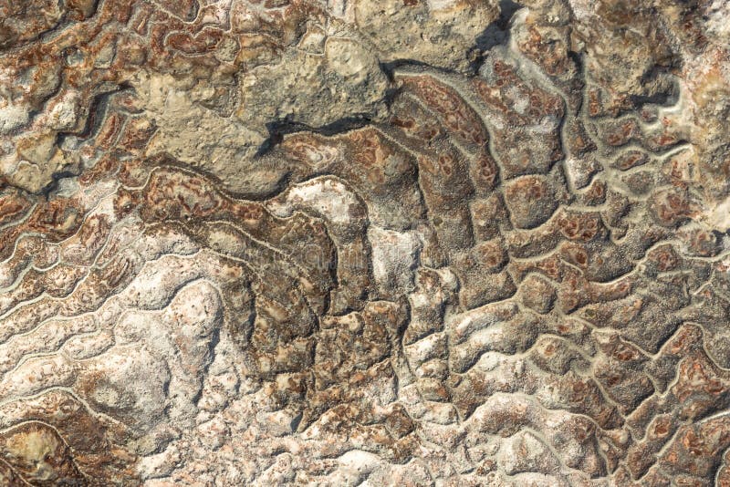 Patterns on the Stone Made by the Flow of Water Stock Image - Image of ...