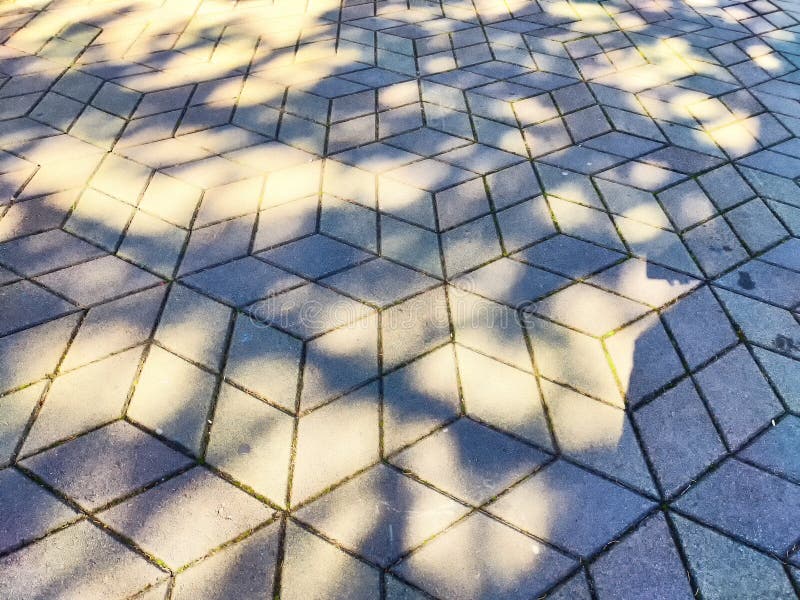 Patterns of Sunlight Creating Shadow Designs on Pavement in an Outdoor ...