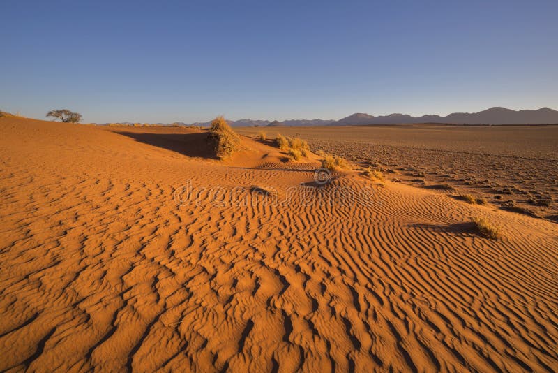 Wind Swept Red Sand Dune in Namib Desert Stock Image - Image of sand ...