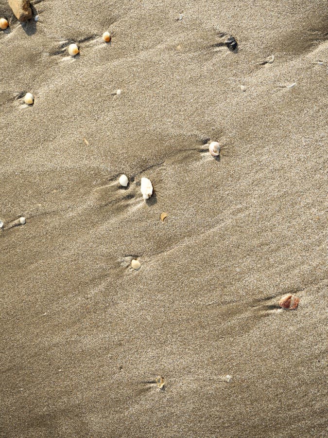 Patterns Texture of Sand on the Beach Stock Photo - Image of nature ...
