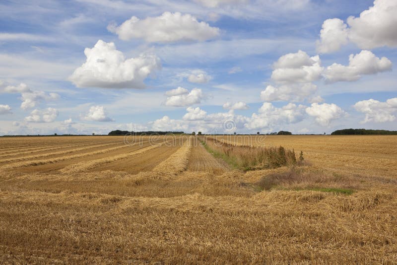 Patterns and Textures of a Cloudy Summer Sky Over Stubble Fields Stock ...
