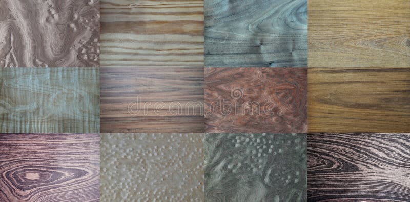 Patterns and Textures and Colors that Many Forms of Natural Wood ...